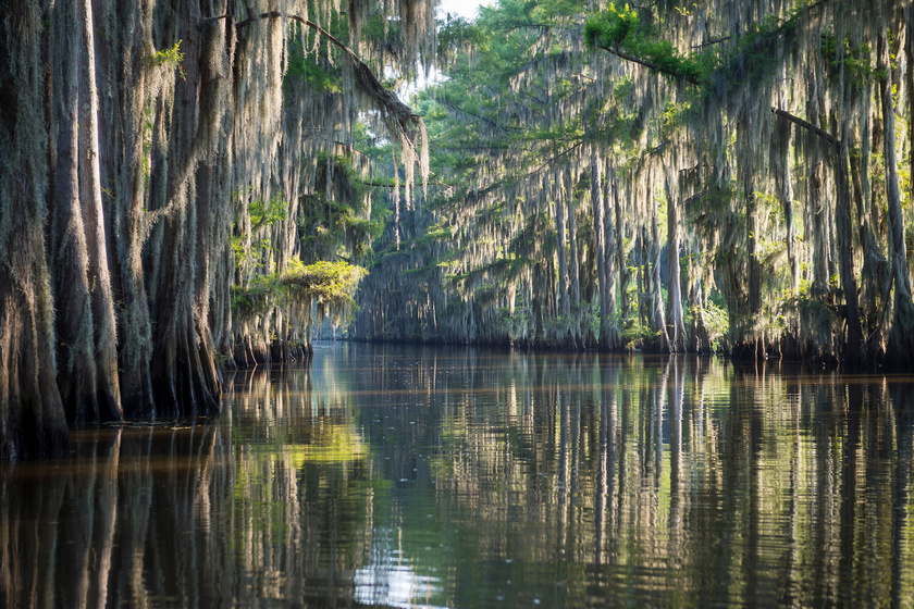 Experiencing The Best Of Louisiana's Nature When Retiring In Lacombe ...